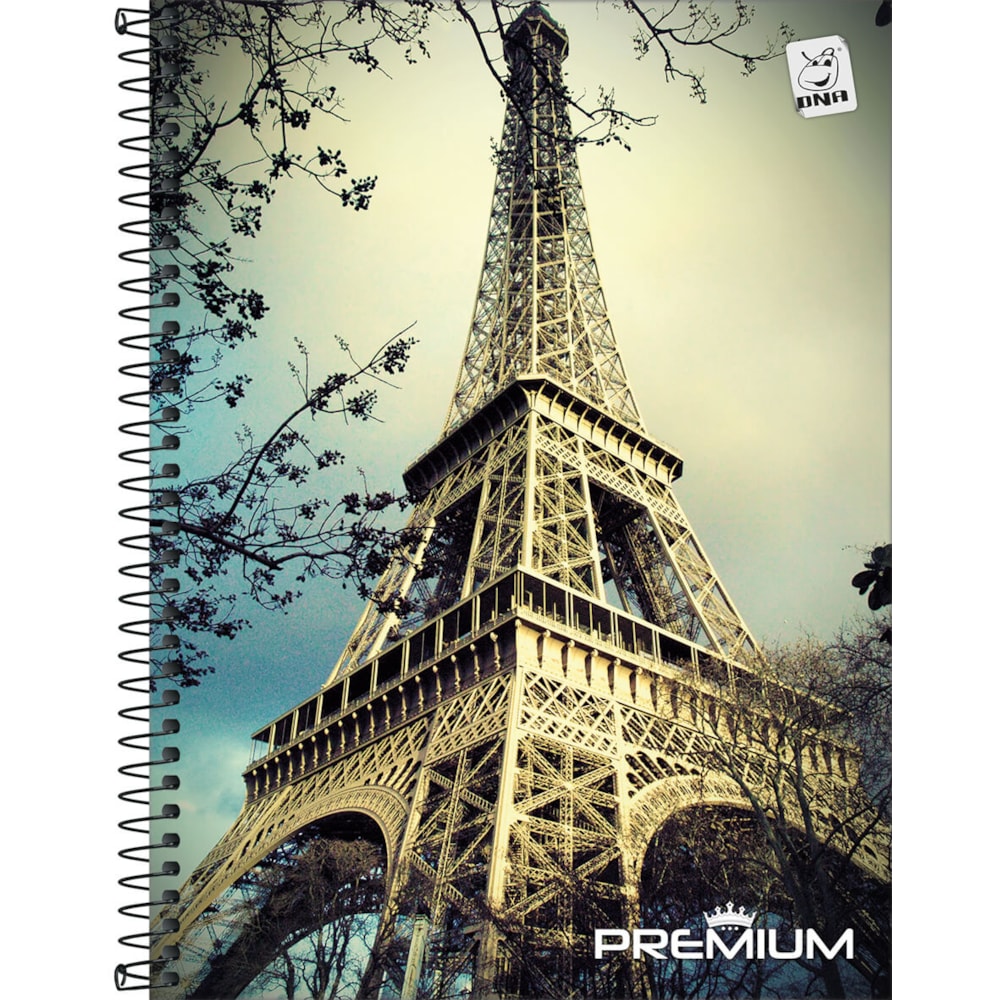 Caderno Capa Dura Universitário 10 Matérias DNA Premium 200 Folhas - Destro